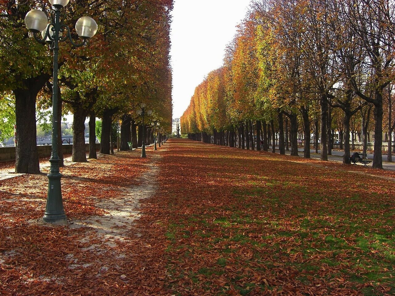 Best time to visit France 🧑️‍️ ️ (Climate, Weather, Crowds)