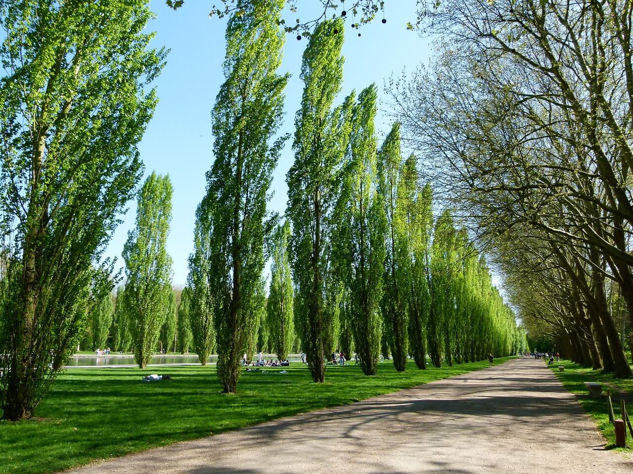 Best time to visit France 🧑️‍️ ️ (Climate, Weather, Crowds)