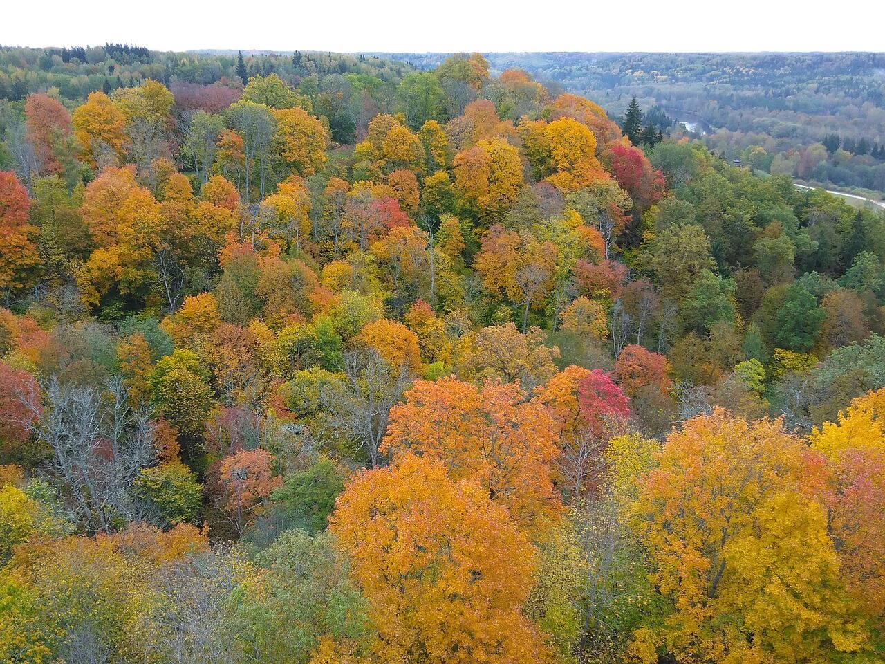 Best time to visit Latvia 🧑️‍️ ️ (Climate, Weather, Crowds)