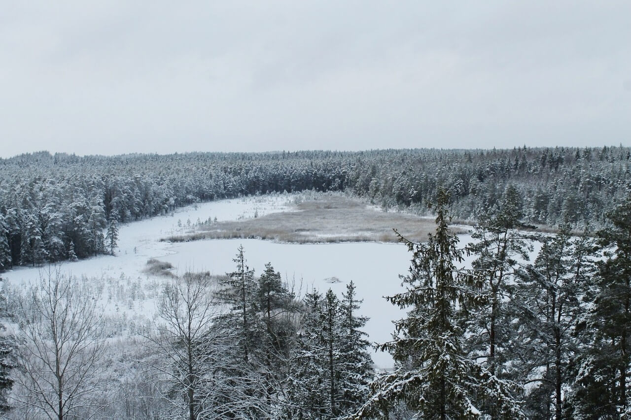 Best time to visit Latvia 🧑️‍️ ️ (Climate, Weather, Crowds)